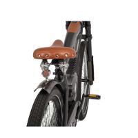 China Customized Moto Bicycle Beach Cruiser 2024 48V 15Ah Lithium Battery 750W Brushless Motor for sale