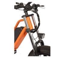 China DOMANCA 2024 High Speed Electric Dirt Bike 750W Motor 48V 13Ah Off-Road Fat Tire E Bike for sale