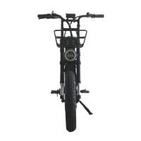 China 20 Inch Fat Tire Electric Bike 48V 20Ah Lithium Battery 7 Speed E Bike for Women for sale