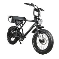 China DOMANCA MT05 48V 20Ah Smart Sensor Electric Cruiser Bike 20 Inch Full Suspension for sale