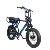 China Customized Mountain Electric Bike 48V 250W-1000W Torque 30-50 Nm Beach Cruiser for sale