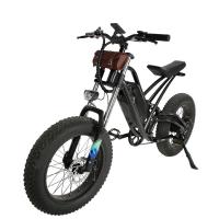 China DOMANCA 750W Electric Dirt Bike 48V 13Ah Lithium Battery Off Road Fat Tire Ebike Motorcycle for sale