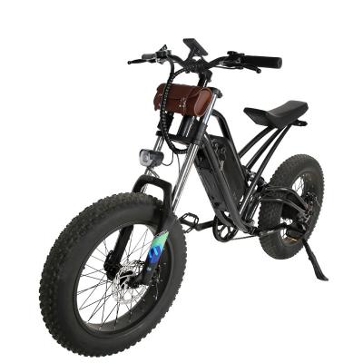 China DOMANCA 750W Electric Dirt Bike 48V 13Ah Lithium Battery Off Road Fat Tire Ebike Motorcycle for sale