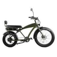 China DOMANCA 48V 10Ah Lithium Battery Fat Tire Electric Bike 26x4.0 7 Speed for sale