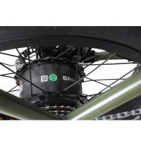 China DOMANCA 48V 10Ah Lithium Battery Fat Tire Electric Bike 26x4.0 7 Speed for sale