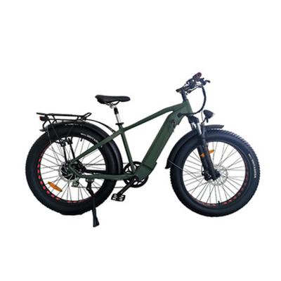 China Domanca 48V 13Ah Aluminum Alloy Frame 20 Inch Fat Tire Electric Bike 7 Speed for sale
