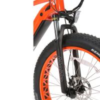 China Domanca 48V 13Ah Aluminum Alloy Frame 20 Inch Fat Tire Electric Bike 7 Speed for sale