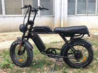 China 48V 1000W Vintage Electric Motor Bike Customized 20 Inch Fat Tyre E Bike Beach Cruiser for sale