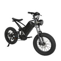 China Domanca 20 Inch Mid Drive Electric Bike 48V 750W Motor LCD Display Fat Tire 22.5Ah for sale