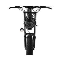 China Domanca 20 Inch Mid Drive Electric Bike 48V 750W Motor LCD Display Fat Tire 22.5Ah for sale