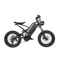 China Domanca 20 Inch Mid Drive Electric Bike 48V 750W Motor LCD Display Fat Tire 22.5Ah for sale