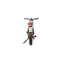 China DOMANCA Vintage Moto Style Electric Bike 1000W Motor 48V 17.5Ah Battery 7 Speed Fat Tire Ebike for sale