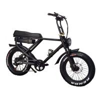 China Domanca 20 Inch Electric Fat Tyre Bike 48V 20Ah Adult Vintage E Dirt Bike Beach Cruiser for sale