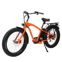 China Electric Beach Cruiser Bike 750W Hub Motor 48V 13Ah Lithium Battery Fat Tire 7 Speed for sale