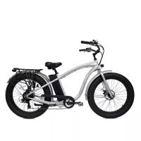China Electric Beach Cruiser Bike 750W Hub Motor 48V 13Ah Lithium Battery Fat Tire 7 Speed for sale