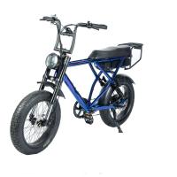 China 48V 20Ah Fat Tyre Electric Bike Custom Blue Beach Cruiser with Bafang Motor for sale