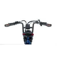 China 48V 20Ah Fat Tyre Electric Bike Custom Blue Beach Cruiser with Bafang Motor for sale