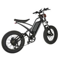 China Customized 48V 13Ah 1000W High Speed Off-Road Fat Tire Electric Dirt Bike with Brushless Motor for sale