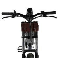 China Customized 48V 13Ah 1000W High Speed Off-Road Fat Tire Electric Dirt Bike with Brushless Motor for sale