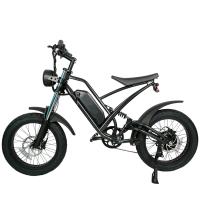 China Customized 48V 13Ah 1000W High Speed Off-Road Fat Tire Electric Dirt Bike with Brushless Motor for sale
