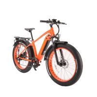 China Domanca 48V 13Ah Lithium Battery Electric Bike 20 Inch Fat Tire 7 Speed Disc Brake OEM for sale