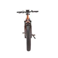 China Domanca 48V 13Ah Lithium Battery Electric Bike 20 Inch Fat Tire 7 Speed Disc Brake OEM for sale