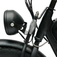 China 48V 750W Rear Hub Motor Electric Motorbike with 48V 20Ah Lithium Battery 60km Range for sale