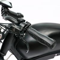 China 48V 750W Rear Hub Motor Electric Motorbike with 48V 20Ah Lithium Battery 60km Range for sale