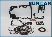 China SUNCARVO.L.VO VOE 14520405 VOE14520405 Hydraulic Main Pump Seal Kit For Mini Excavator[EC55B, EW55B] for sale