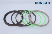 China 71418481 Piston Seal Kit Fits For New Holland EC215 Excavator for sale