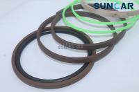 China 71418481 Piston Seal Kit Fits For New Holland EC215 Excavator for sale