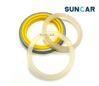 China CA2440959 244-0959 2440959 Cylinder Seal Kit For C.A.T Excavator 815B 815F 815F II 933 933C 939 939C 953C 966F D3C III D4C III D4H D4H XL D5C III D5H D5H XL D5M D5N for sale