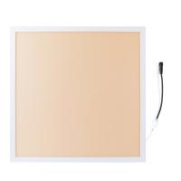 China Glare Free Slim IP65 LED Panel Light Recessed SMD For Retail Shop for sale