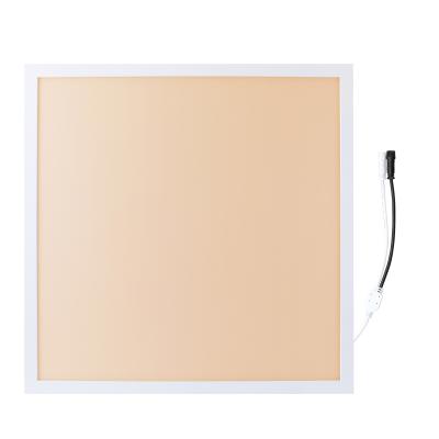 China Glare Free Slim IP65 LED Panel Light Recessed SMD For Retail Shop for sale