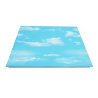 China Aluminum Clip In Ceiling System 600x600 Fireproof Metal Ceiling Panel 0.3-0.8mm for sale
