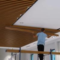 China 3D Design Aluminum Wall Panel Ceiling , Aluminum Acoustic Suspended Ceiling for sale