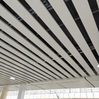 China Powder Coated Aluminum Slat Strip False Ceiling 100mm Width Heat Insulation for Office Building for sale