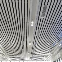 China Custom Aluminum Suspended Slat Strip False Ceiling 100mm Width for Hallway Interior Decoration for sale