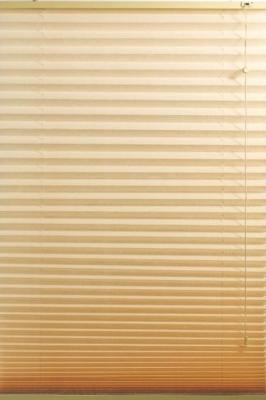 China Contemporary Windows Shades Blinds Beige with Pleated Venetian style for sale