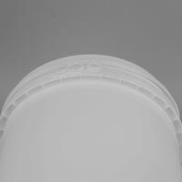 China SGS Certified 5 Liter White Plastic Chemical Bucket - 22cm Diameter Food Grade Pail with Custom Printing for sale