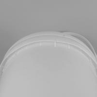 China Frost UV Resistant Plastic Paint Bucket 1L to 20L with Lid and Handle for sale