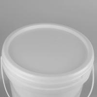 China 25L Custom IML Design Plastic Paint Bucket with Lid - 14
