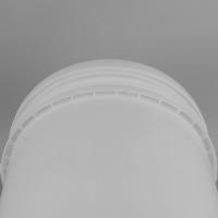 China 5 Gallon 20L Plastic Paint Bucket with Lid 29cm x 38cm Custom Color for sale