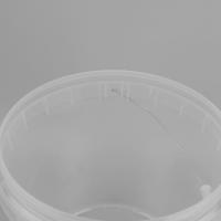 China 1L 5L 10L Transparent Plastic Packaging Bucket with Lid and Handle - Food Grade PP/HDPE Material for sale