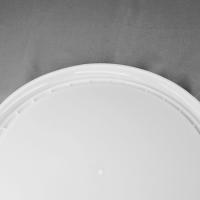 China 30L Latex Paint Plastic Bucket with Lid and Handle PP/HDPE 33.5x29.5x40.5cm for sale