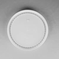 China Clear 5 Gallon Plastic Pails 20L HDPE Buckets with Lids for Industrial Use for sale