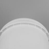 China 13L Plastic Pail Bucket for Food Paint Adhesive Industrial Packaging for sale