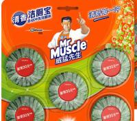 China PVA Film On Blocks Packaging Machine For Toilet Cleaners for sale