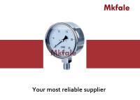 China Hydraulic Liquid Pressure Gauge Stainless Steel Pressure Gauge SMCBS On Non - Corrosive Line for sale
