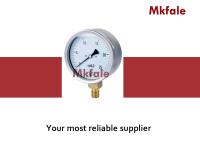 China IP44 Brass Connection Liquid Filled Water Pressure Gauge 63mm 75mm 100mm 160mm for sale